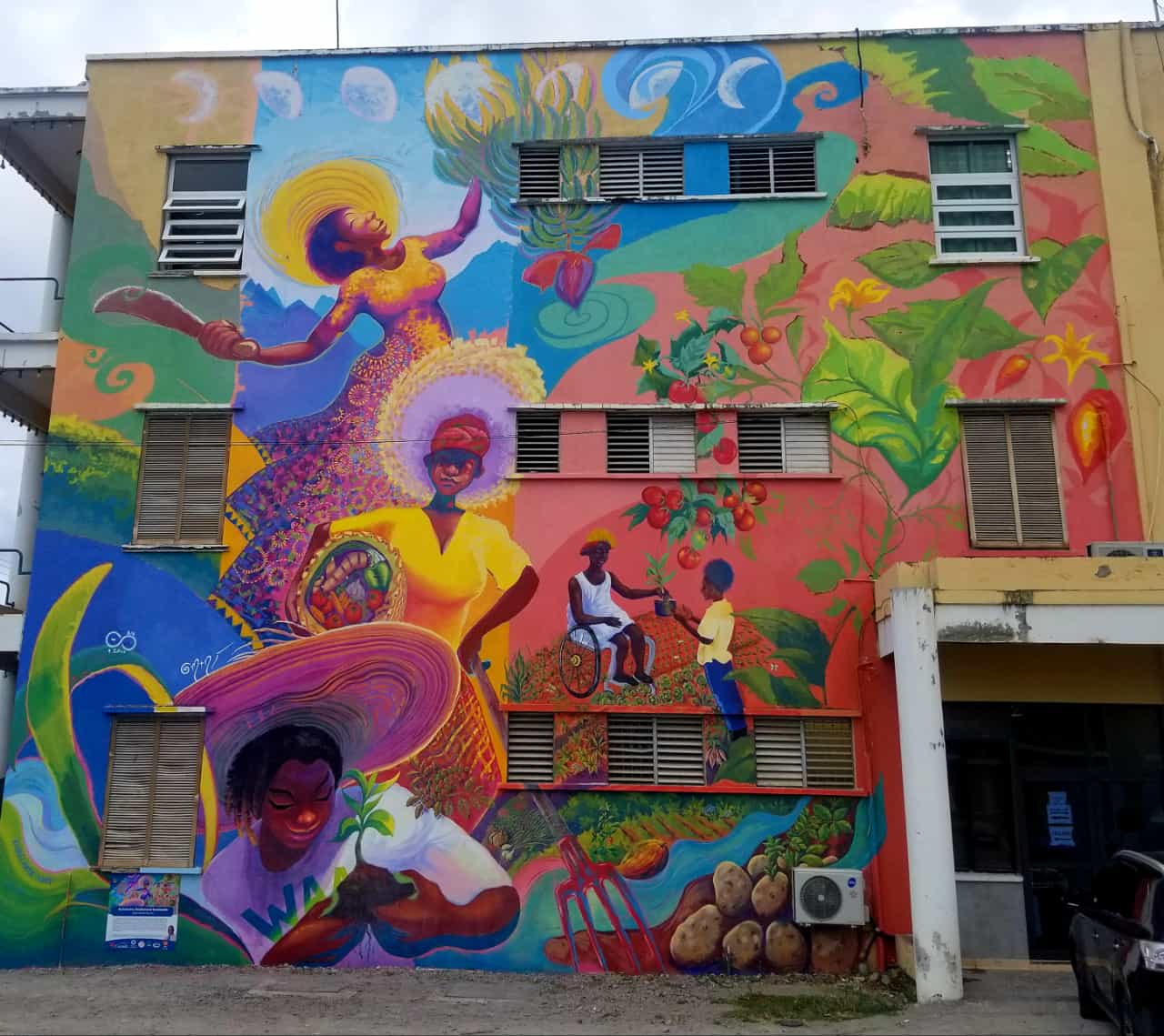 Women and Youth in Agriculture – QR DOMINICA